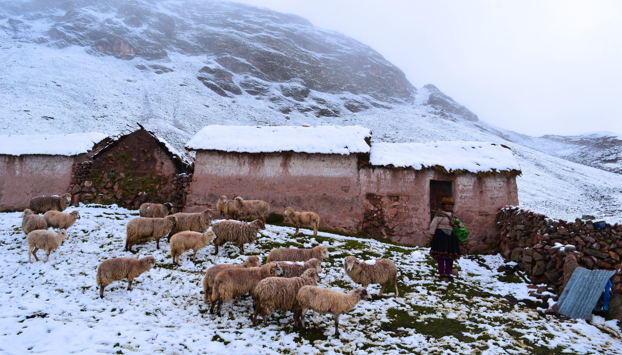 23 Things Alpaca Wool Can Be Used For (#7 Is My Favorite!) – Yanantin ...